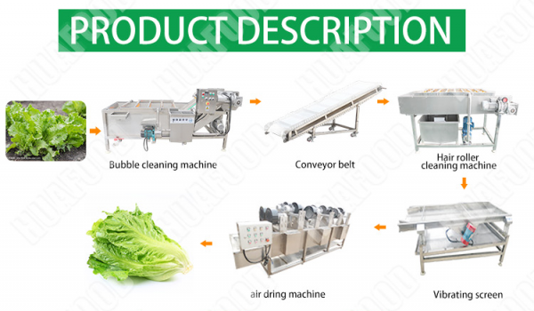 Vegetable washing and drying machine lettuce - Huafood machine ...