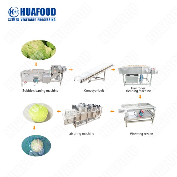 Cabbage Archives - Huafood machine - Vegetable & Fruit Cleaning Machine ...