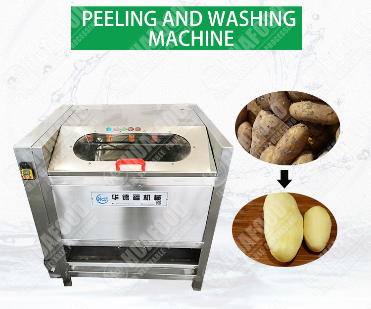 SUS 304 stainless steel Prickly pear washing machine - Huafood machine ...