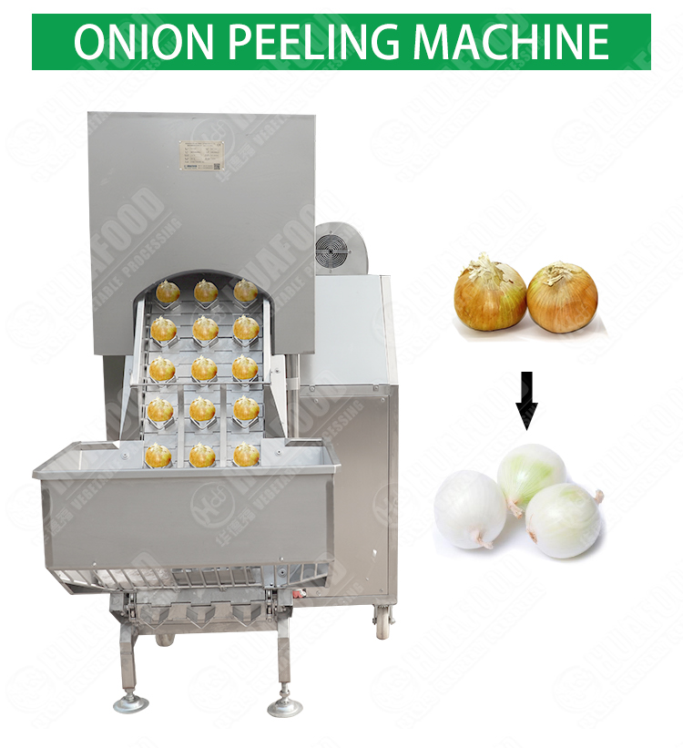 Multi-function onion stripping washing machine - Huafood machine ...
