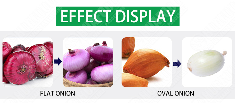 Multi-function onion stripping washing machine - Huafood machine ...