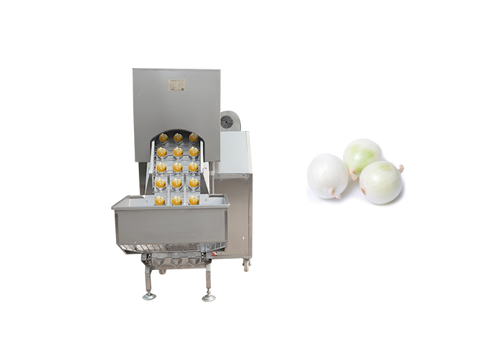 Multi-function onion stripping washing machine - Huafood machine ...