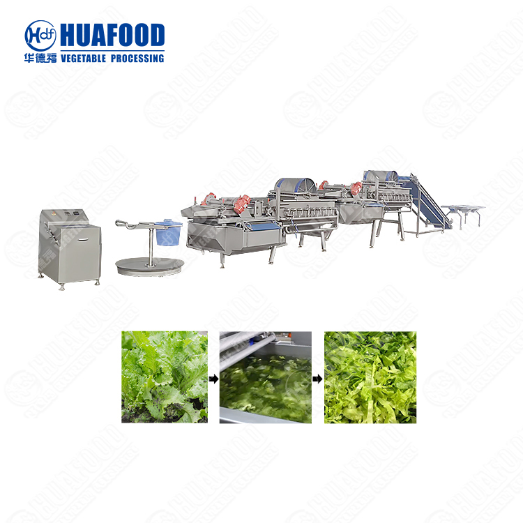 Vortex Vegetable lettuce Washing Processing,Cycle cleaning Salad Washer ...