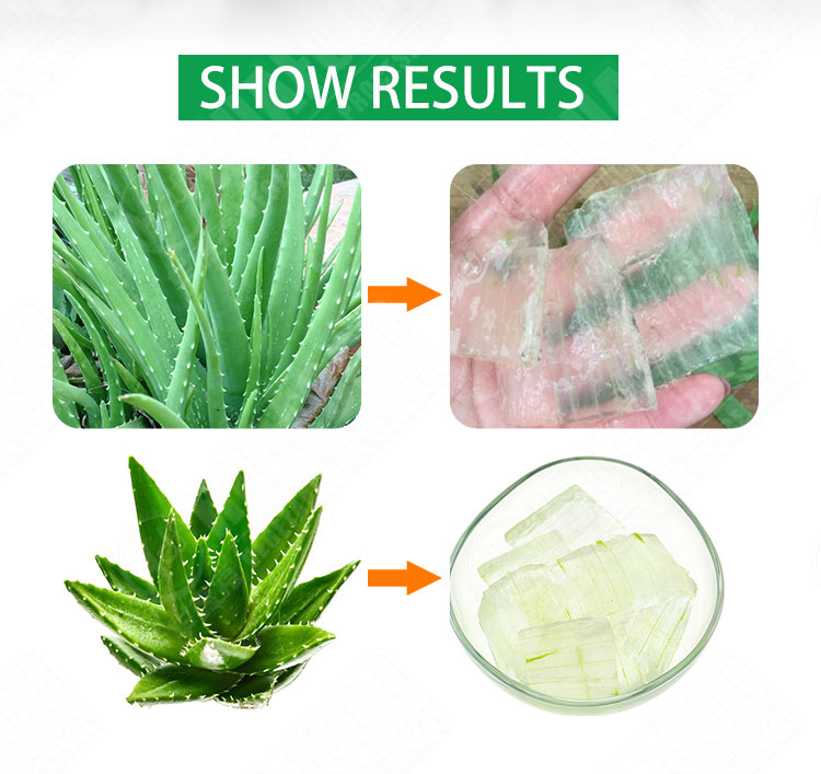 Automatic Aloe Vera Leaf Peeling Machine For Aloe Vera Gel Extraction ...
