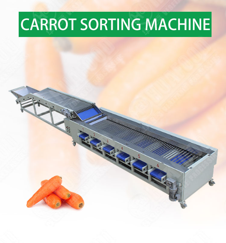 Mesin Sortasi Buah dan Sayur Mesin Grading Kentang Bawang Wortel ...