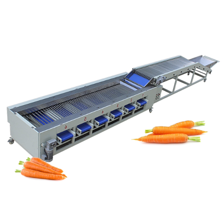 Mesin Sortasi Buah dan Sayur Mesin Grading Kentang Bawang Wortel ...