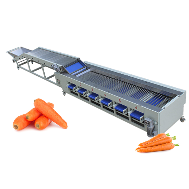Fruit and Vegetable Sorting Machine Carrot Onion Potato Grading Machine ...