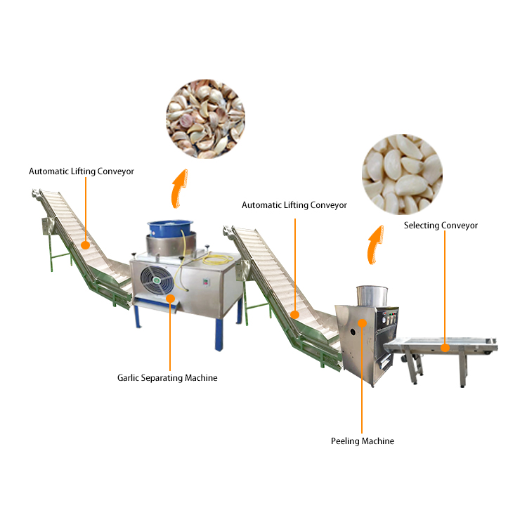 Garlic Processing Machines / Garlic Peeling Machine Production Line ...