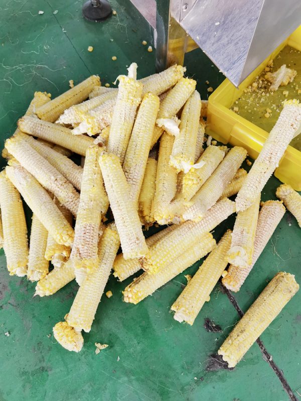 Automatic Sweet Corn Maize Peeling Washing Blanching Dewatering Drying ...